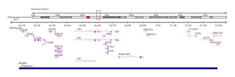 Array Deletion Map Of Area On 17q112 With Deleted Genes Listed