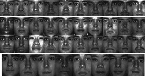 Partial Samples Of The Yale B Face Database Download Scientific Diagram
