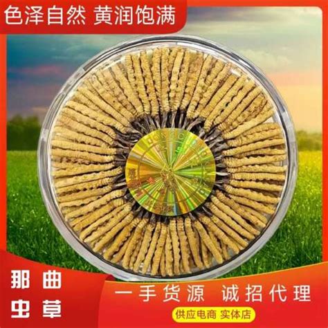 虫草可以人工种植吗？ 惠农网