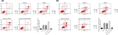 Cell Apoptosis Rate By Flow Cytometry In Difference Groups A The