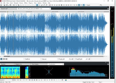 Sound Forge Pro 11 Entry Version Trainervamet