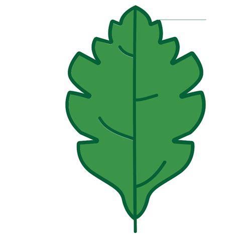 Leaves Svg File 50kb Svg File Rawsvg