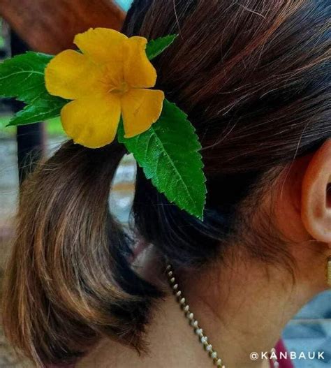 ပန်းသပိတ်ကြောင့် တစ်နိုင်ငံလုံးတွင် ဖမ်းဆီးခံရသူ ၃၀ ကျော်ထိရှိလာ၊ သေနတ