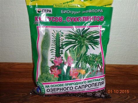 Какая земля нужна для Замиокулькаса: выбор почвы, покупка готового грунта