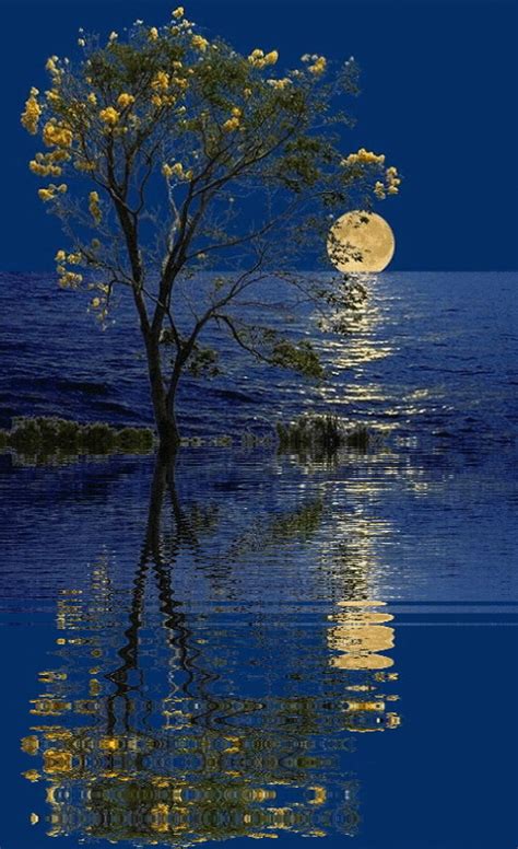 Uso De La H A Vueltas Con La Lengua