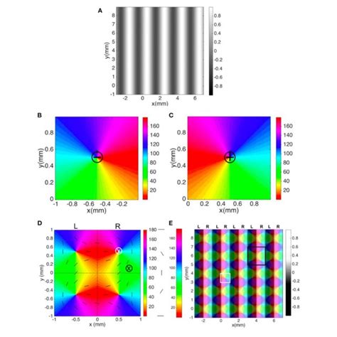 Schematics Of Visual Feature Preference Maps In V1 A Od Map With