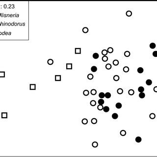 Non Metric Multidimensional Scaling MDS Plot Representing