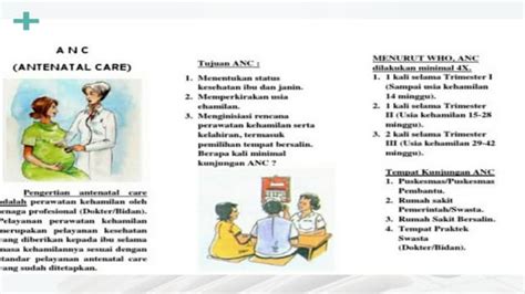 Leaflet Anc Dan Imd Pdf