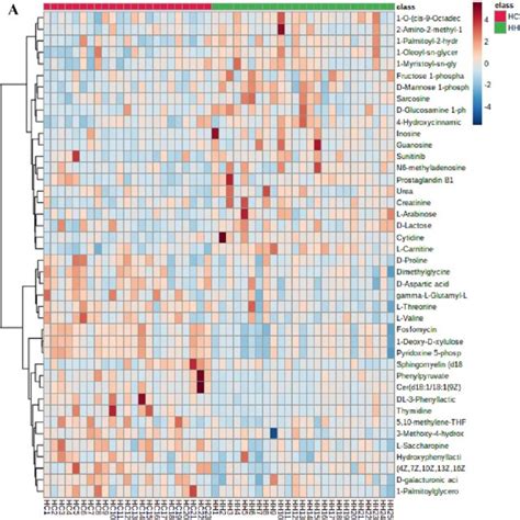 A Heatmap Of The Top Different Features In Metabolomics B Heatmap