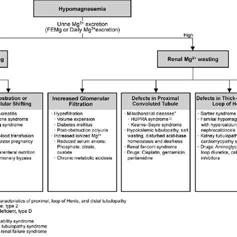 Genetic Strategy For Diagnosis Of Inherited Renal Hypomagnesemia The Download Scientific