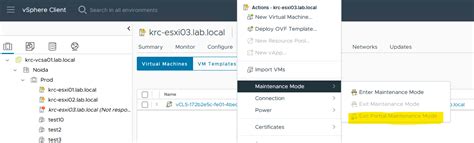 What Is Partial Maintenance Mode Vmware Vsphere