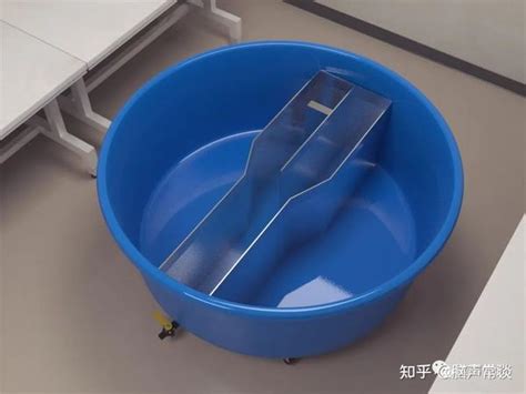 脑声常谈动物行为实验手册丨Y型水迷宫测试方法及注意事项 知乎