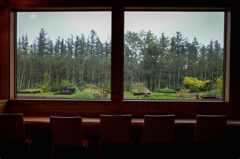 Premium Photo Trees Seen Through Glass Window