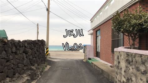브이로그vlog 혼자여행 혼자제주여행 3박4일 뚜벅이여행 제주카페투어 제주감성카페 제주맛집 제주숙소 힐링여행 Youtube