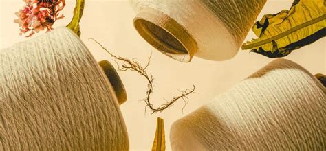 Are Algae Fibres The Future Of Green Fashion Springwise