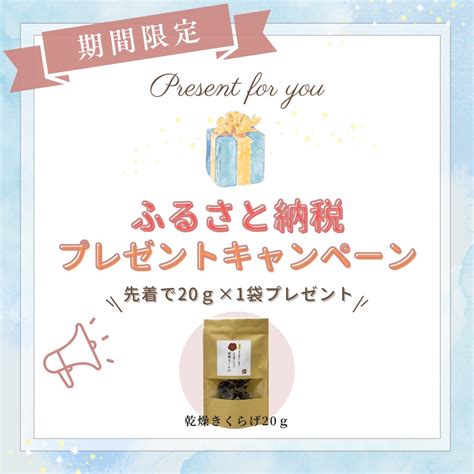 【楽天市場】【ふるさと納税】【数量限定・無農薬】薩摩川内市産の生きくらげ 360g（120g×3パック）as 024 数量限定 無農薬きくらげ