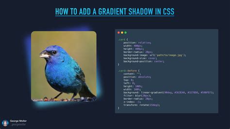 Cách Sử Dụng Css Background Gradient 100 Height Cho Trang Web Của Bạn