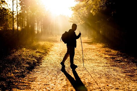 Fact Check Can Walking Help You Build Big Leg Muscles