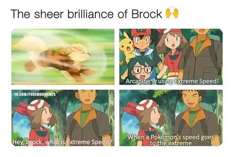 Pok Mon Memes That Perfectly Sum Up Brock