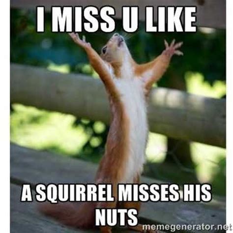 60 Cutest I Miss You Memes Of All Time Artofit