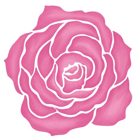 Pink Rose Flower Drawing Illustration 13168372 Png