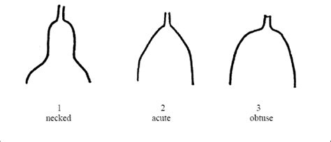 Fruit Predominant Shape At Stem End Source Upov 2007 Download Scientific Diagram