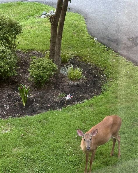 Julie Wright You Want Fame Well Fame Costs And Right Here Is Where