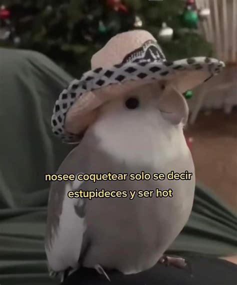 𝔓𝔞𝔪𝔢 𝔙𝔞𝔠𝔠𝔞𝔯𝔦𝔬 on Twitter RT En jupiter