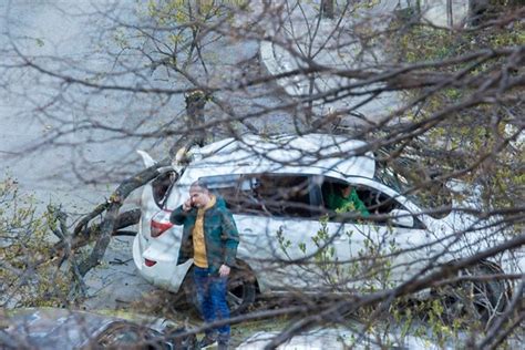 Две дървета паднаха върху кола в София Обновена снимки