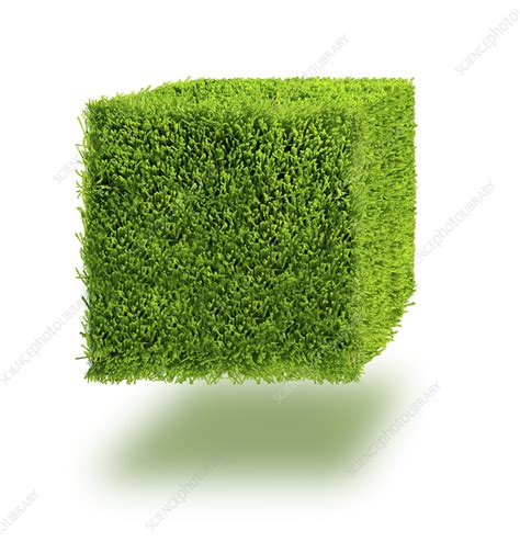 Grass Cube Illustration Stock Image C046 2339 Science Photo Library