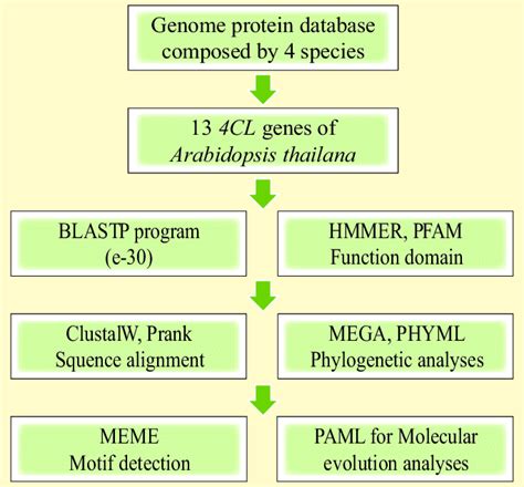 Schema Of The Experiment Download Scientific Diagram