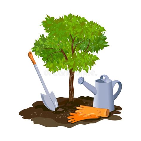 Planting Tree Stock Illustrations 26 958 Planting Tree Stock