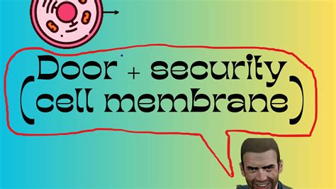 Door Security Cell Membrane 1pdf