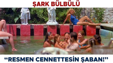Şark Bülbülü Türk Filmi Patronu Şaban ın Havuz Sefasını Bölüyor