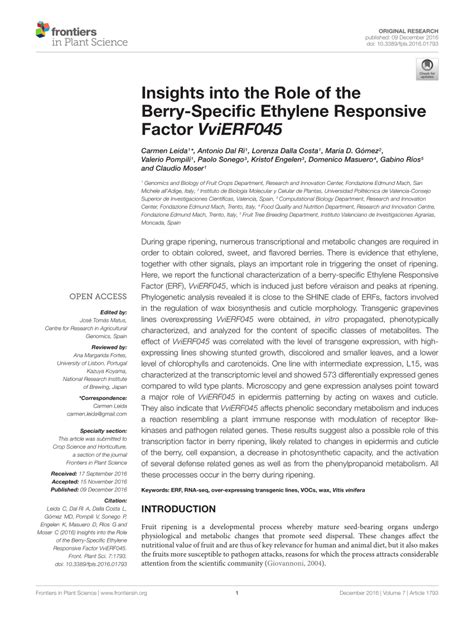 Pdf Insights Into The Role Of The Berry Specific Ethylene Responsive