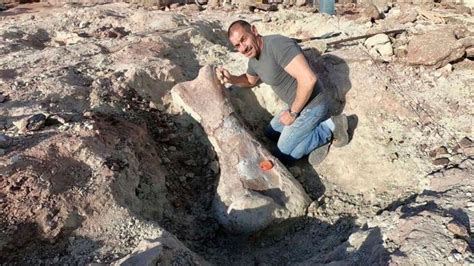 Hallaron Restos De Un Dinosaurio Gigante En Neuquén Que Vivió Allí Hace