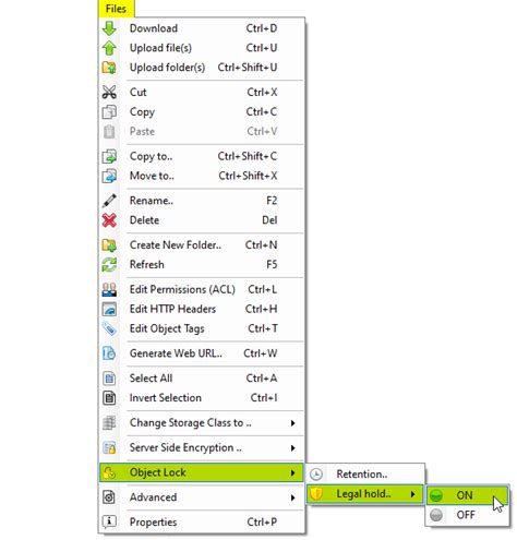 The Object Lock Legal Hold Feature How To Lock Object Version From