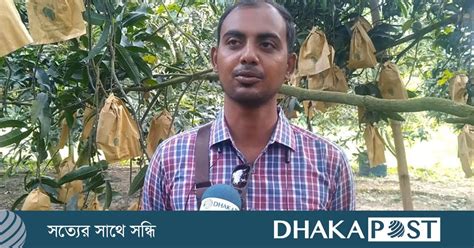 কৃষি খামারে সফল মাস্টার্স পাস হাসিব বছরে আয় ২০ লাখ