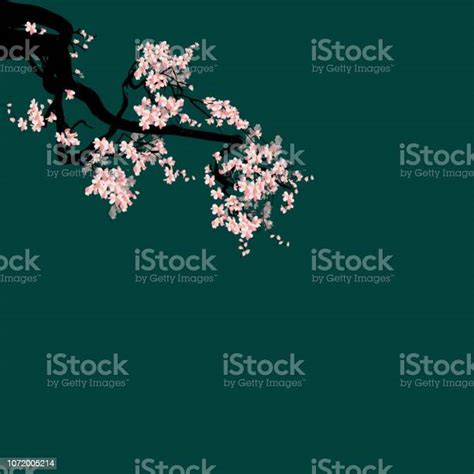 수채화 사쿠라 프레임입니다 꽃 벚꽃 나무 가지와 배경입니다 손으로 그린 일본 꽃 배경 0명에 대한 스톡 벡터 아트 및 기타