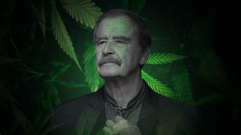 Así Sería América Latina Si Tuviera 100 Habitantes Infobae