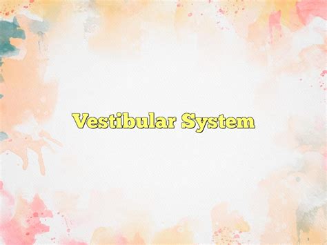 Vestibular System Definition And Meaning