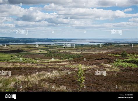 Looking Down Over The Cromarty Firth And Cromarty Bridge From The A832