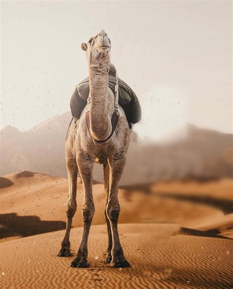 Manipulation CB Background HD CBEditz