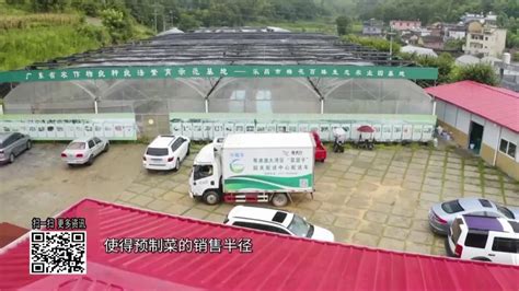 预制菜“火速登场”！让你吃得新鲜、吃得放心澎湃号·媒体澎湃新闻 The Paper
