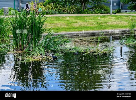 Water Feature And Plants In The Ecology Pavilion At Mile End Park