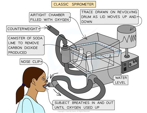 Spirometers Ocr A Level Biology Revision Notes 2017