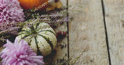 행복한 추수 감사절 세련된 호박 단풍 보라색 달리아 꽃 소박한 오래된 나무 배경에 헤더 가을 수확 농촌 구성 텍스트를위한 공간 안녕하세요 가을입니다 할로윈