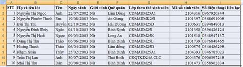 Sử Dụng Autofit Trong Excel để Tự động điều Chỉnh độ Rộng Cột Và Hàng