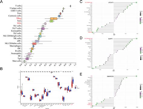 Immuno Infiltration Analysis In AR A Analysis Of The Percentage Of