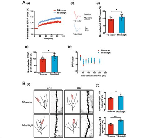 ngr reduction improves synaptic plasticity in app ps1 transgenic mice